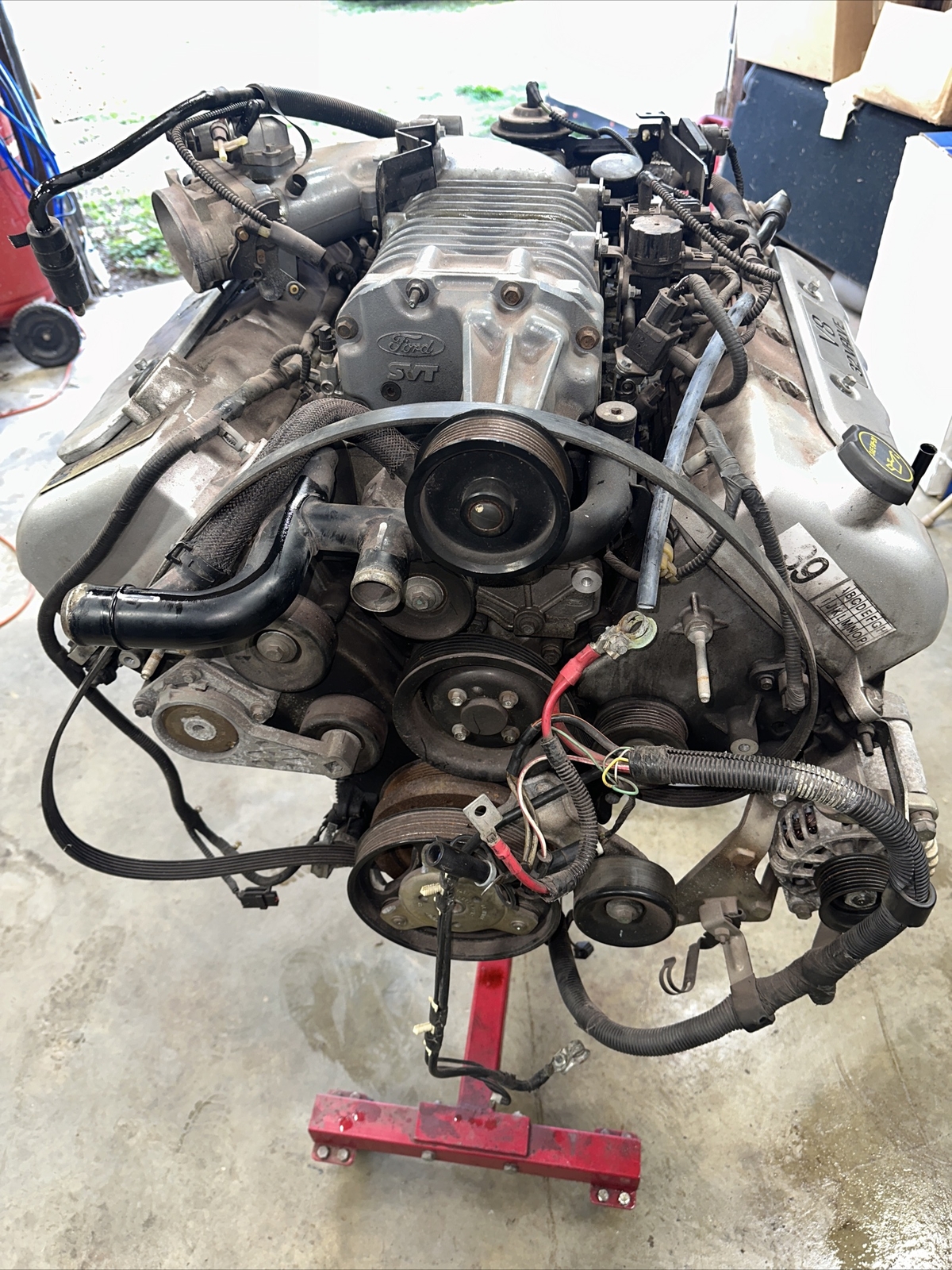 2004 Mustang Cobra Engine