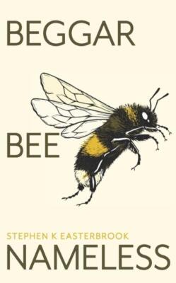 Beggar Bee Nameless by Stephen K Easterbrook 9781912092451 NEW Book | eBay