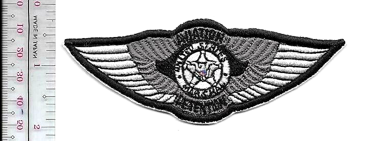 US Marshal Service USMS Pilot Wings Aviation Detention Transport Patch ...