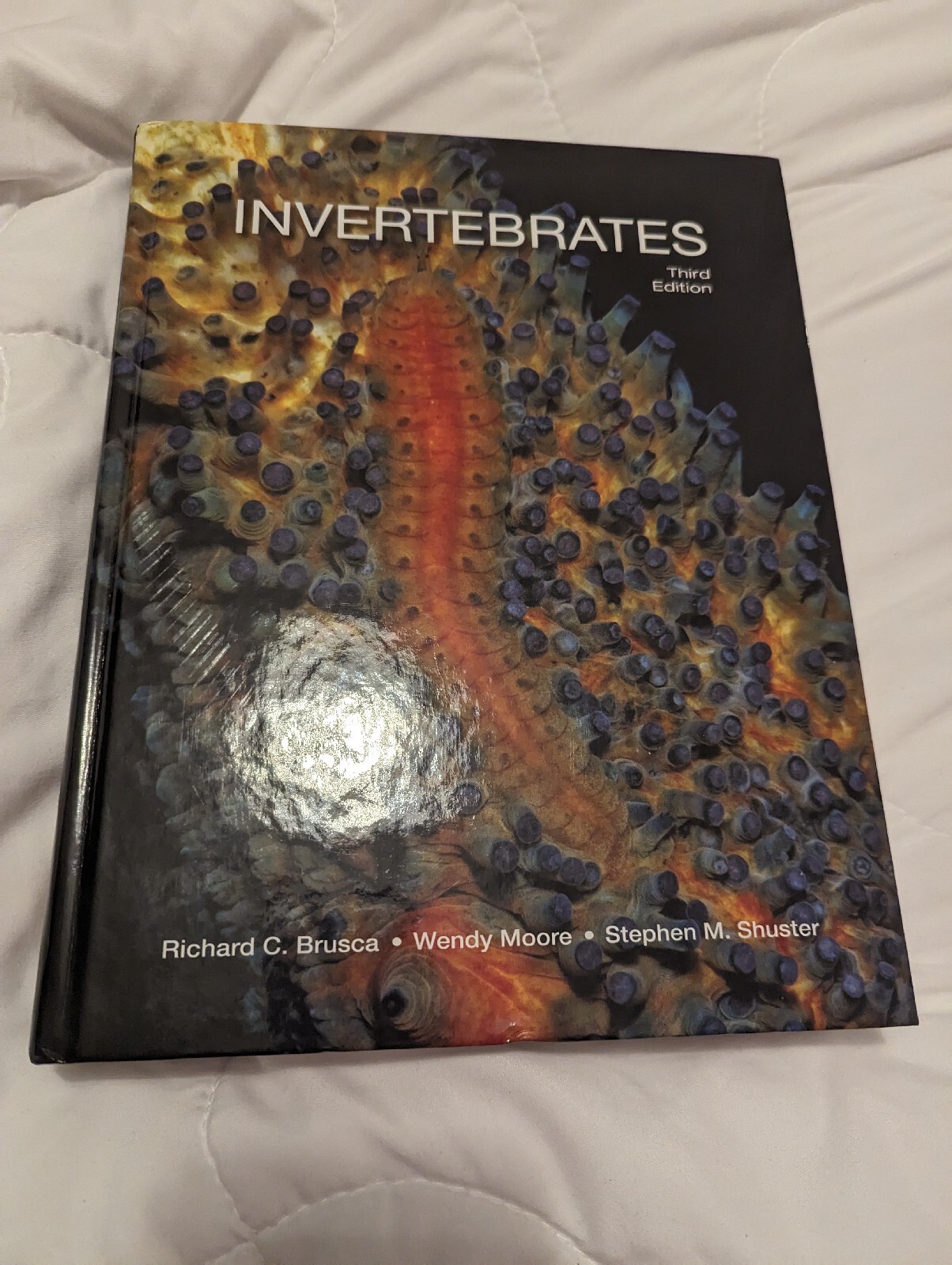 Invertebrates by Stephen M. Shuster, Richard C. Brusca, Wendy Moore ...