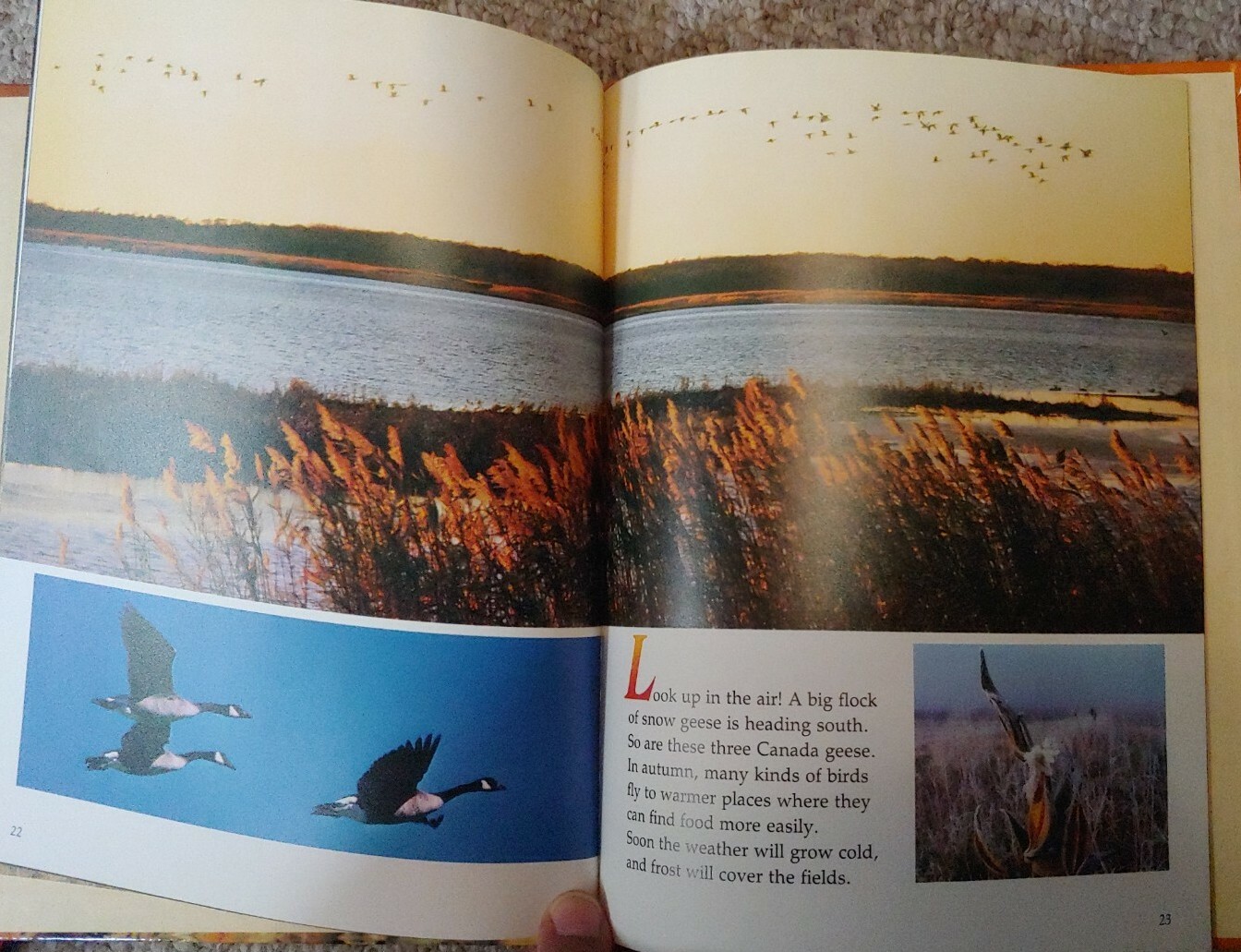 National Geographic Society Books For Young Explorers Lots Of 5 ...