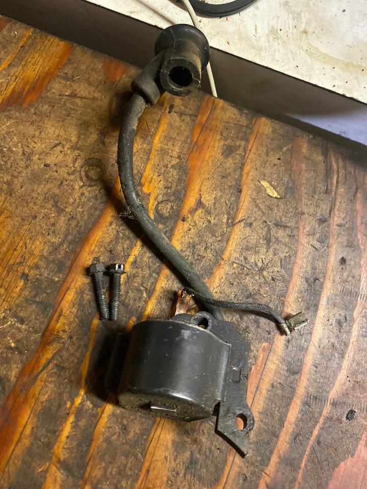 OEM Homelite 240 Chainsaw Ignition Coil Free Shipping | eBay