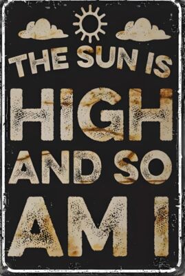 The Sun Is High And So Am I Aluminum Weatherproof Funny Sign p1321 | eBay