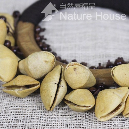 Hand Musical Shaker Seeds Pods Rattle Tribal Aboriginal Instrument ...