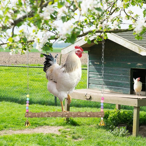 Ground-offering Bird Swing Parrot Perch with Beads Bells Natural Wooden ...