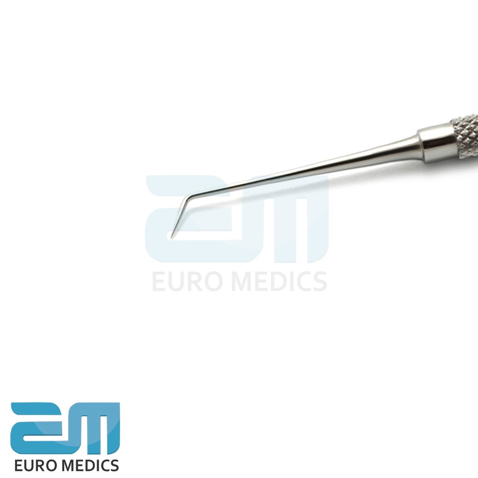 Dentist Explorer Dental Instruments Hygiene Tooth Scraper Calculus ...