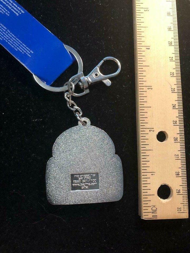 Iowa "Hawkeye Nation" Heavyweight Keychain Team Logo Key Ring - NEW ...