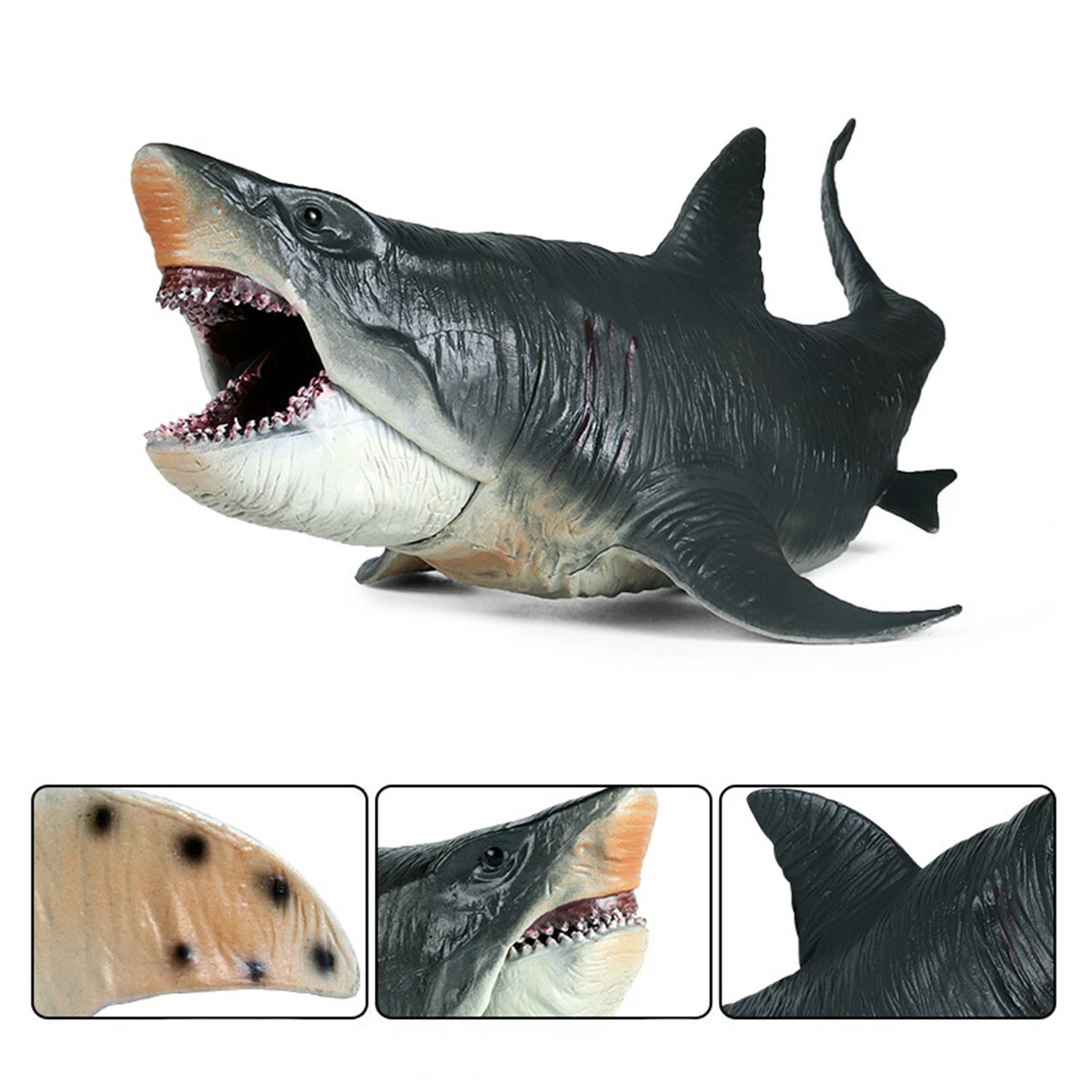 Cretoxyrhina Vs Megalodon