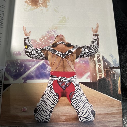 FEBRUARY 2004 WWE RAW wrestling magazine SHAWN MICHAELS - Poster! | eBay