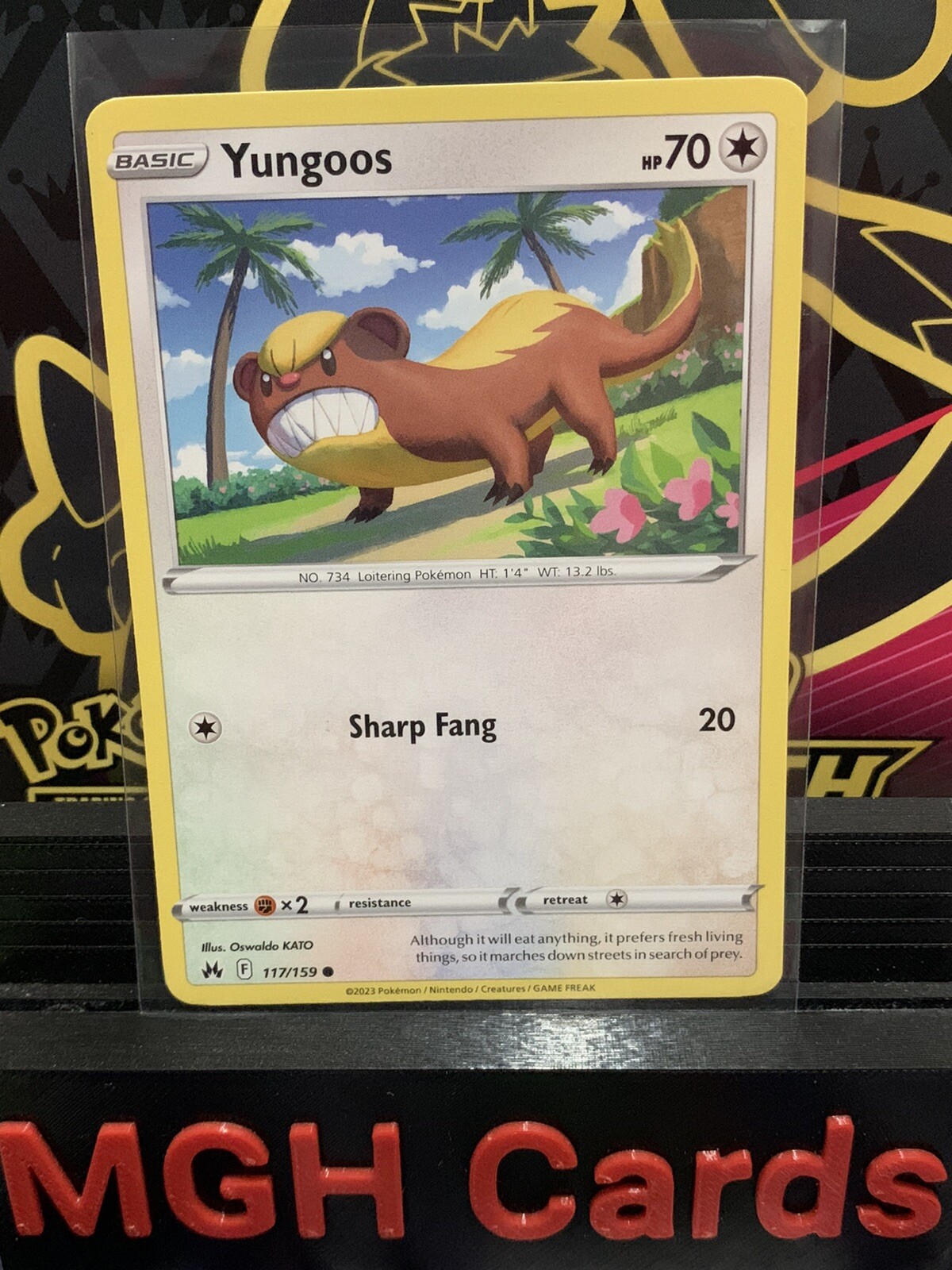 Yungoos 117/159 Non Holo Common Crown Zenith Pokemon TCG Card NM/M+ ...