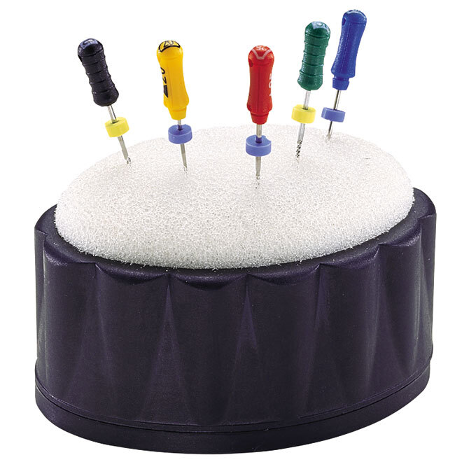 Endodontic Oval/Round Clean Stand by Dentsply | eBay