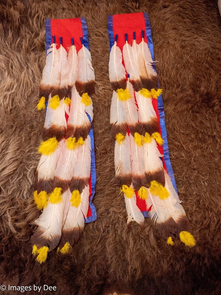 Sioux Chicken Dance Bustle Pow Wow Regalia | eBay