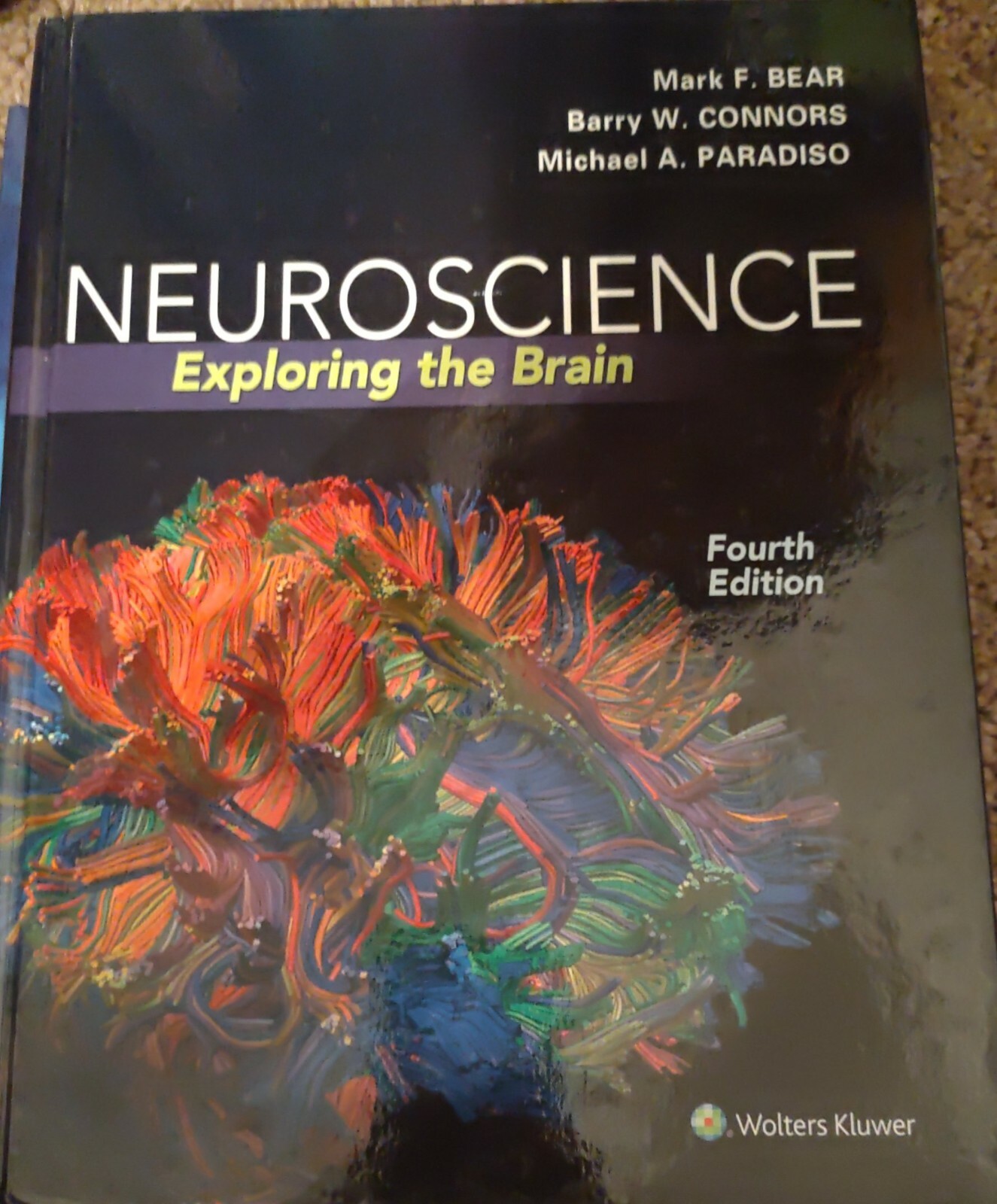 Neuroscience Exploring The Brain By Mark Bear Michael A Paradiso And