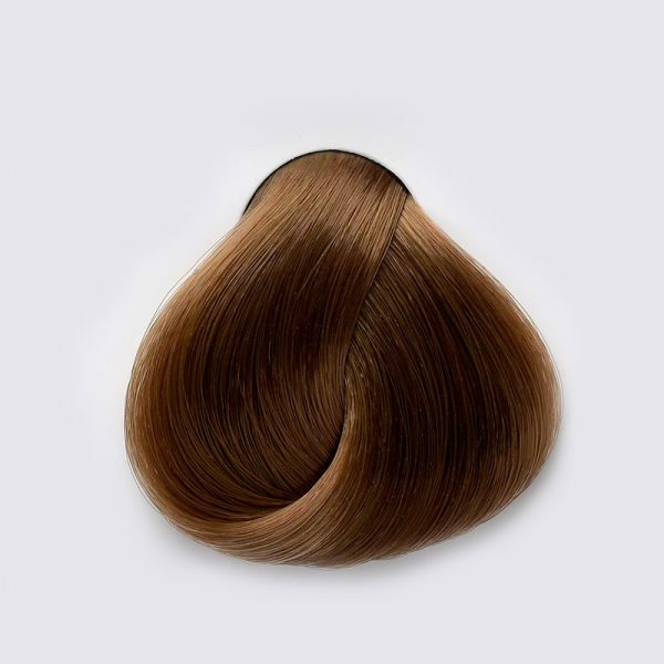 PROFESSIONAL HAIR TINT PERFECT PERMANENT TINT/DYE HAIR COLOUR ...