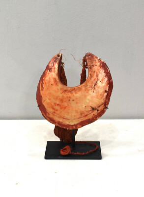 Pacific Islands & Oceania - Kina Shell - Vatican