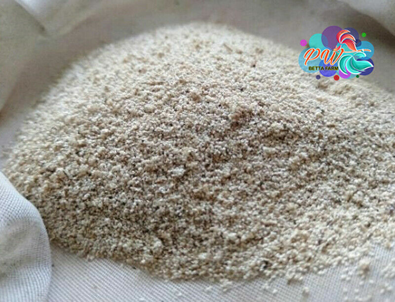 MOINA MACROCOPA EGGS (WATER FLEA) LIVE FOOD FOR BETTA GUPPY FISH ...