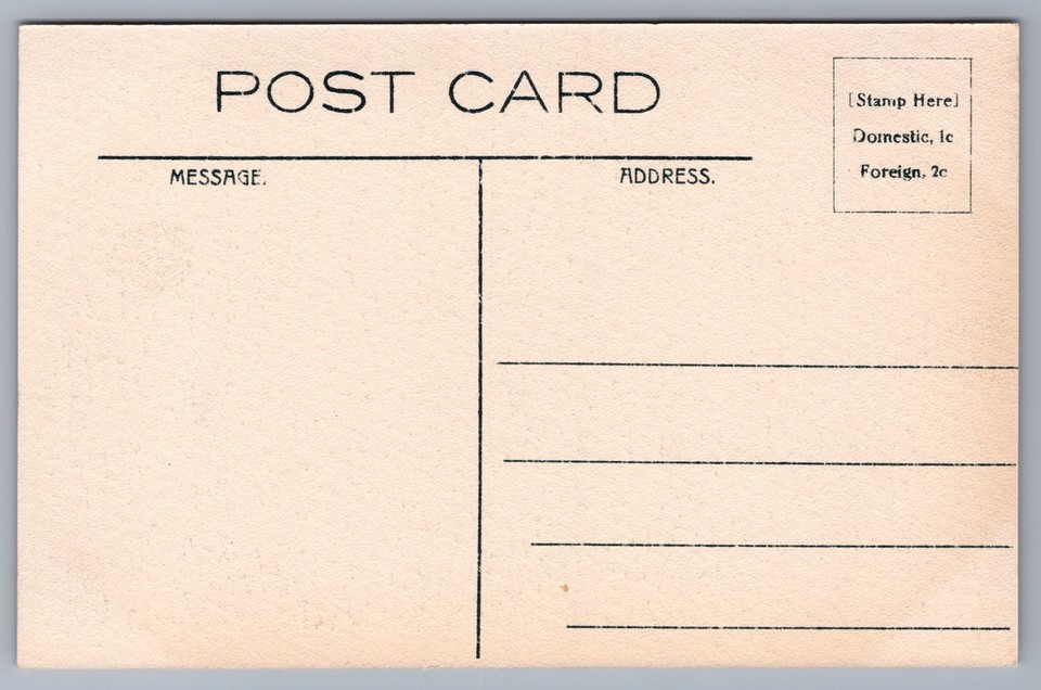 Rainbow Trout Yellowstone Park Haynes Photo Collotype Postcard L3 | eBay