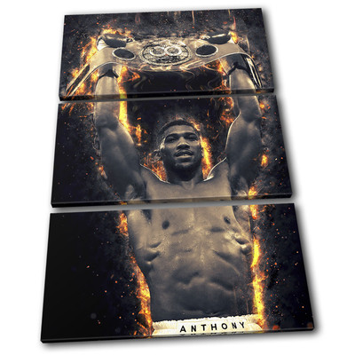 Boxing Anthony Joshua Champion Sports TREBLE TOILE murale ART Photo ...