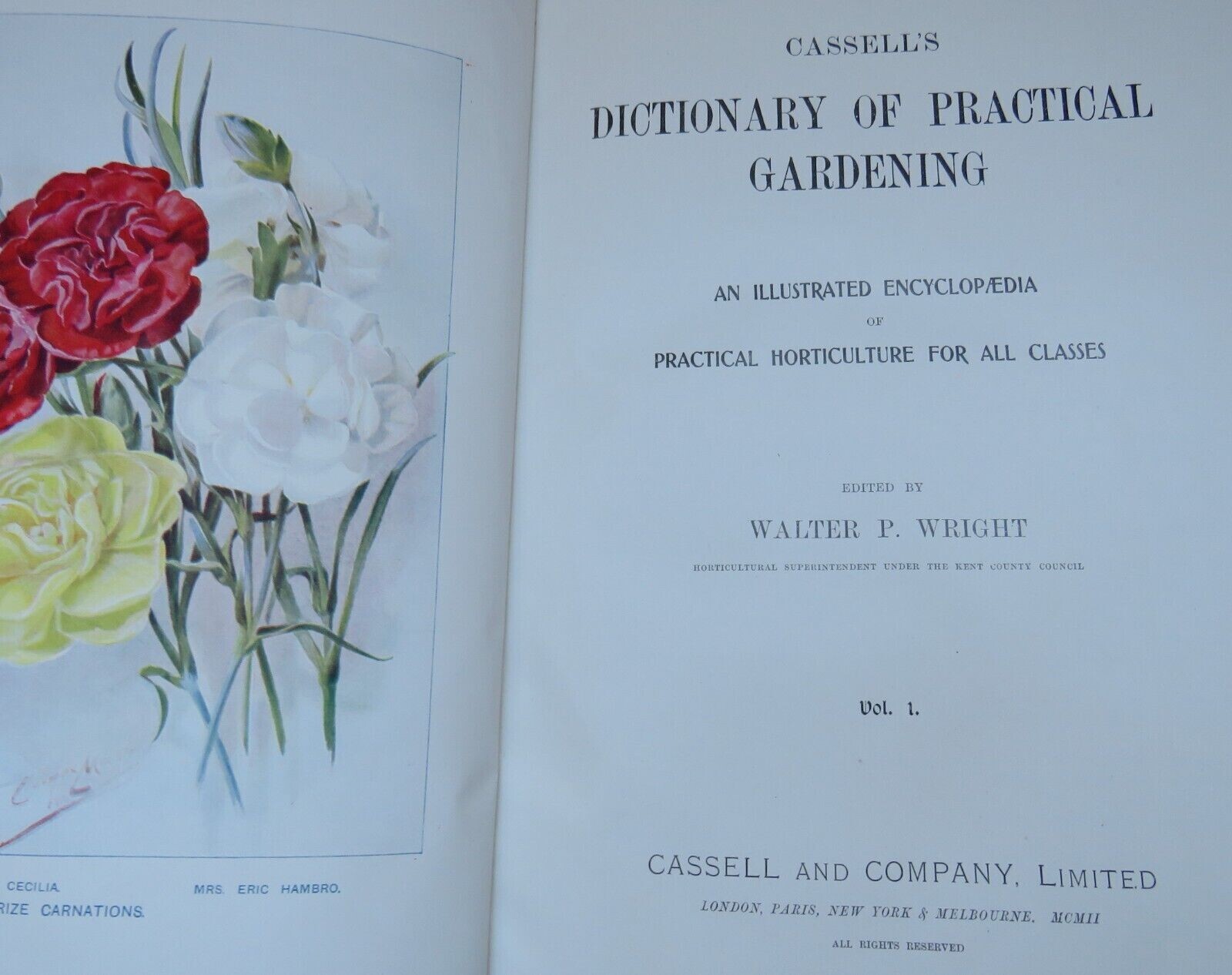Cassell's Dictionary Of Practical Gardening Vol I & II An Illustrated ...