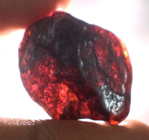 31 Ct Red Brown Burma Painite Natural Gemstone Collection Specimen ...