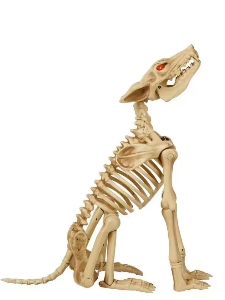 ANIMATED SKELETON WOLVES (2-Pack) 2.5 Ft. LED Outdoor Halloween ...