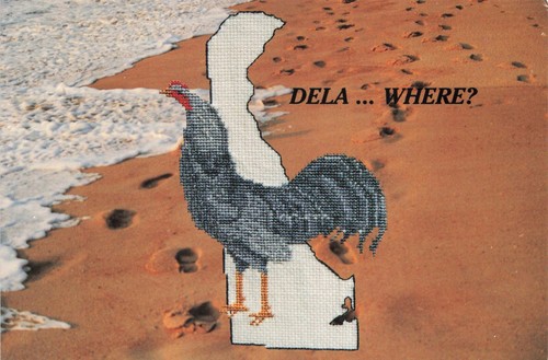 Postcard DE Blue Hen State Bird Peach Blossom Shore Waves Funny Dela ...