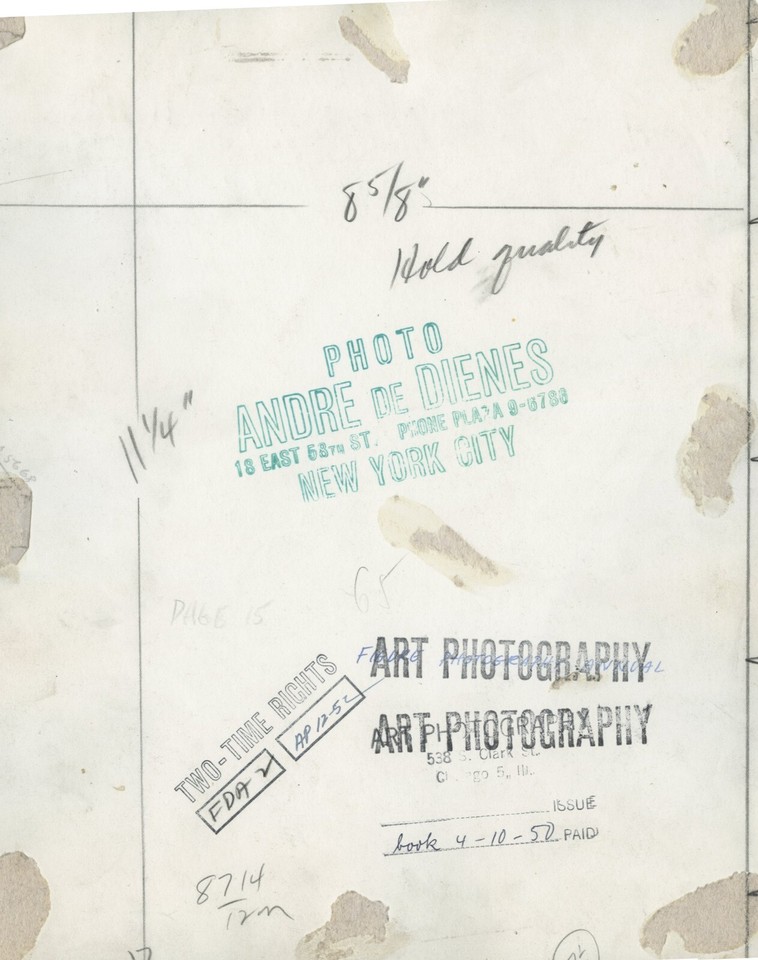 c. 1944 true vintage ANDRE DE DIENES Female Nude SHIRLEY LEVITT | eBay