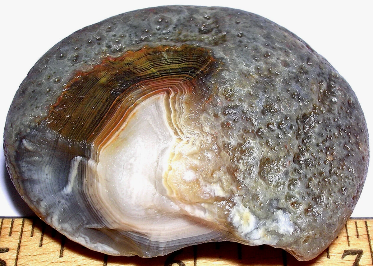 Lake Superior Agates In The Rough