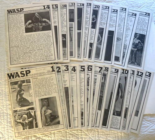 Vintage WASP Women & Strength Periodical 25 Issues 1976-1979 | eBay