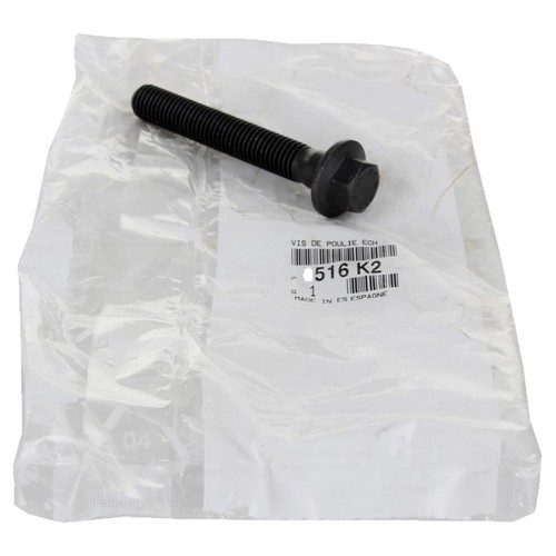 Vis Poulie de Vilebrequin Pour Jumper II Fiat Ducato Ford Transit ...