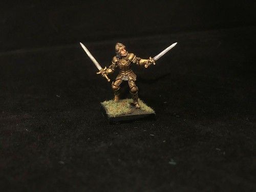 Painted Reaper Miniature Knight D&D Pathfinder Fantasy RPG Tabletop ...
