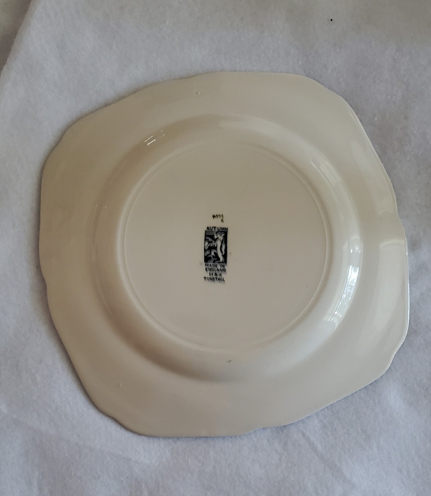 Vintage H+K Tunstall Autumn 9" Plate English China | eBay