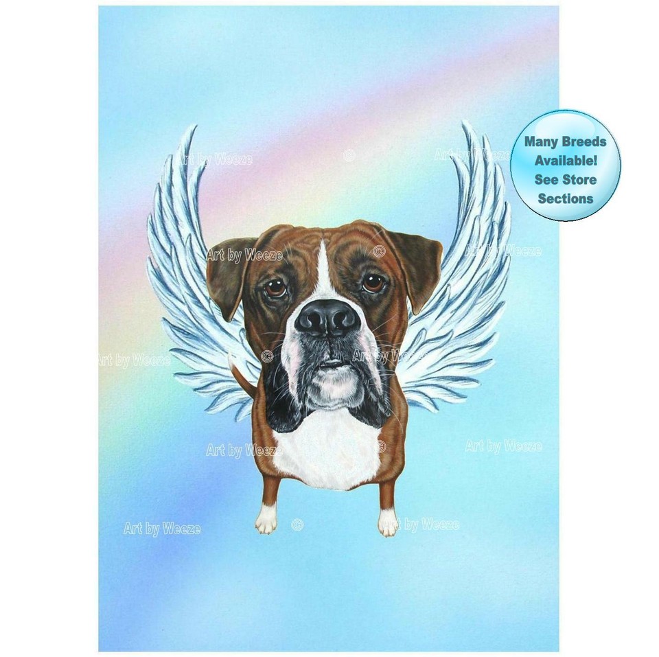 Boxer Angel Art Boxer Dog Pet Memorial Dog With Angel Wings Pet Loss ...