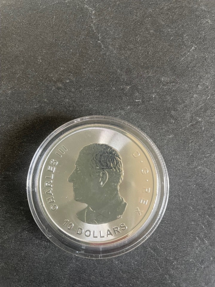 2024 Canada $10 2oz WOOLLY MAMMOTH ICE AGE SERIES Silver Bullion coin ...