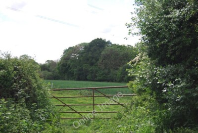 Photo 6x4 Gate by the Downs Link Copsale c2011 | eBay UK
