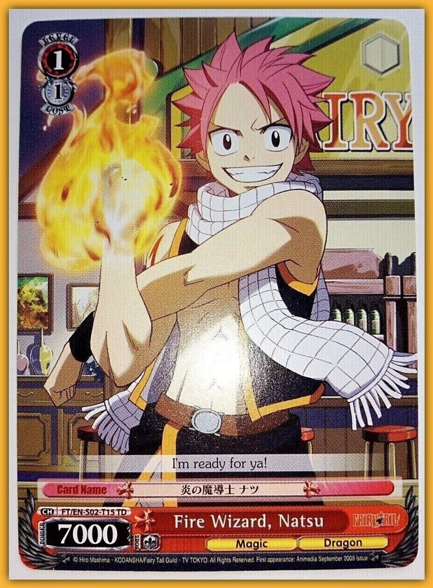 Natsu Fairy Tail Fire