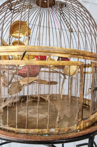 Antique Hendrix Bird Finch Canary Cage W/ Glass Cardinals & Curtis Jeer ...
