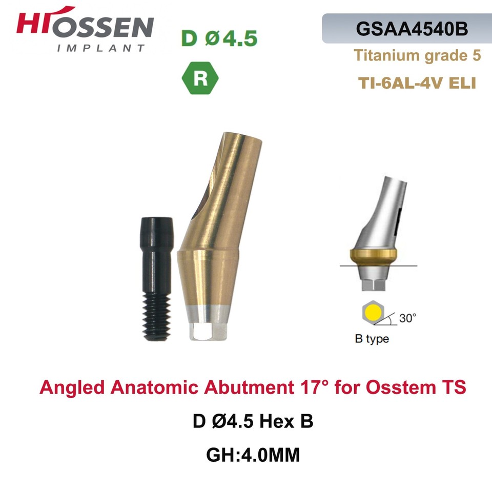 Mini/Regular Angled Anatomic Abutment 17° Titanium Dental Osstem® TS Compatible | eBay