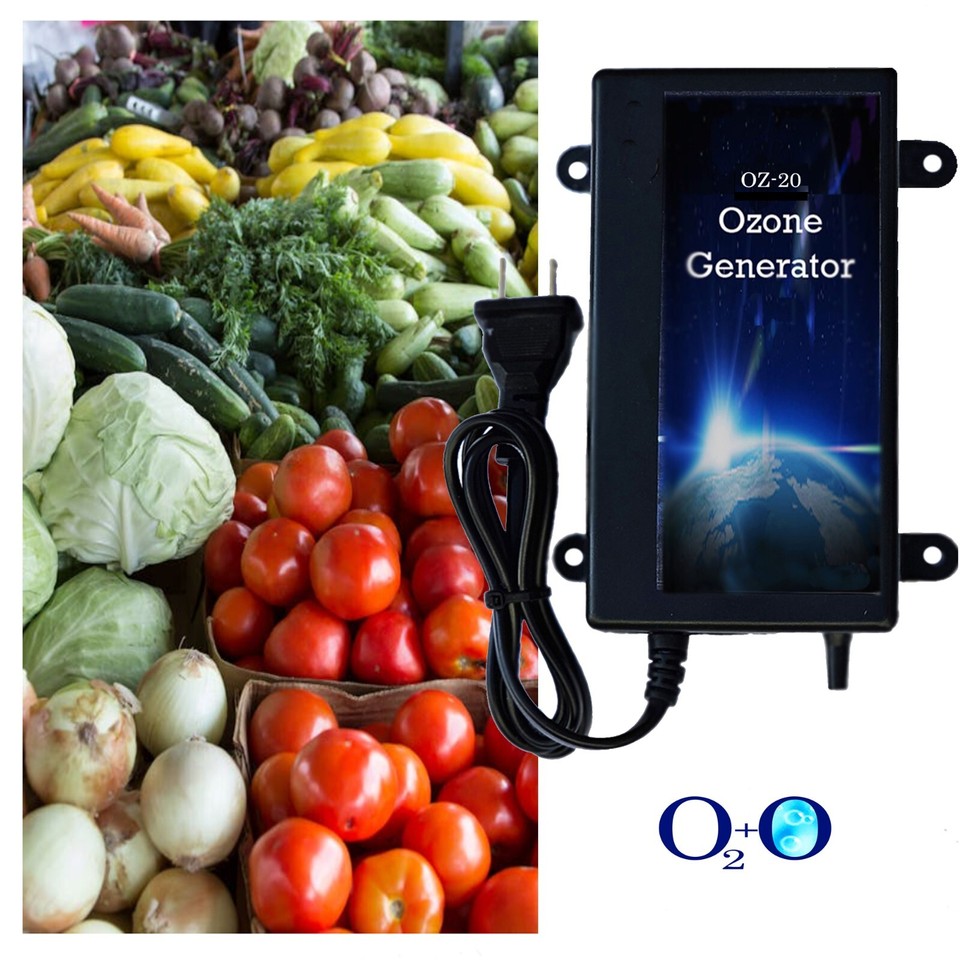 OZONE GENERATOR for Cold Plunge Tub Ice Bath ,1000mg/h, Water Ozonator ...