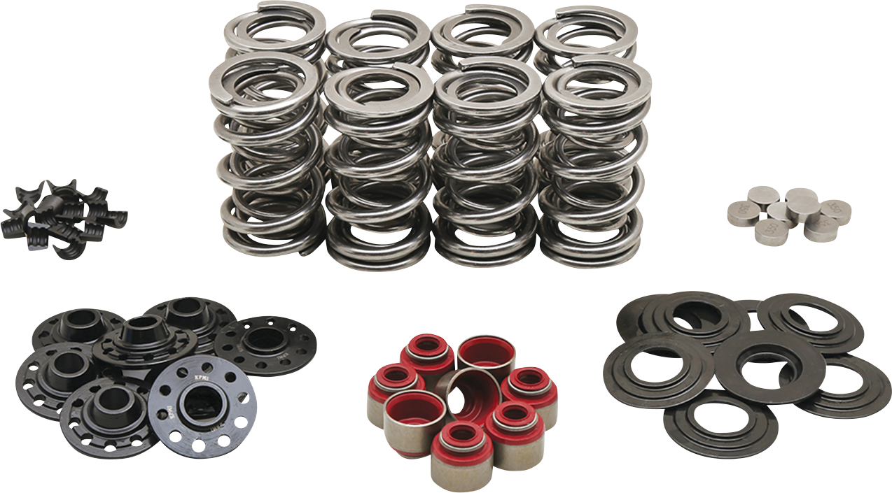 Kibblewhite Dual Spring Kit 20-23450 | eBay