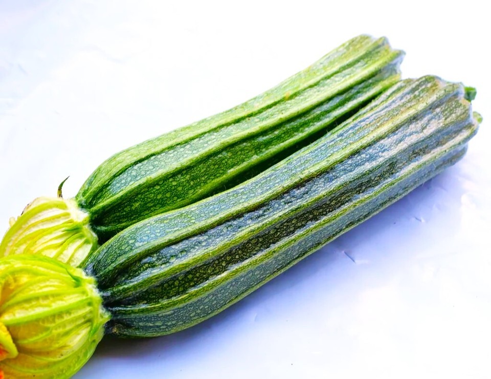 Costata Romanesco Zucchini Seeds | Rib Striped Italian Heirloom Squash ...