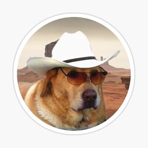 COWBOY DOGGO sticker bumper funny car decal, funny 4x4 Aussie | eBay