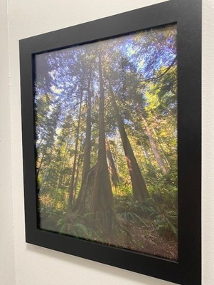 Landscape Photo Forest Water Nature Tree Mountain Wildlife 11x14 Framed ...