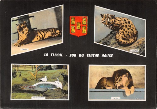 72-LA FLECHE-N 3918-A/0365 | eBay