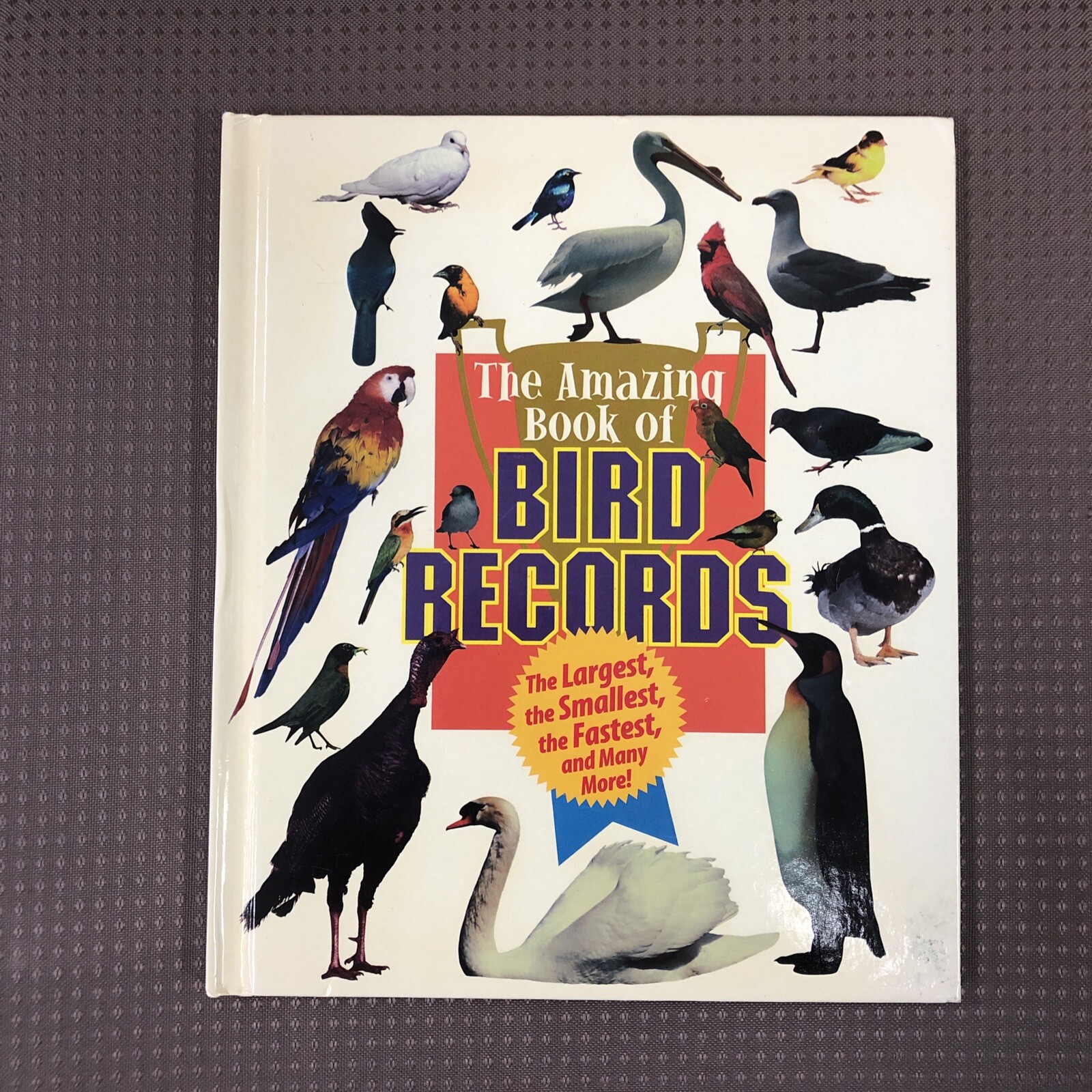 The Amazing Book of Bird Records : The Largest, Smallest, Fastest, And ...
