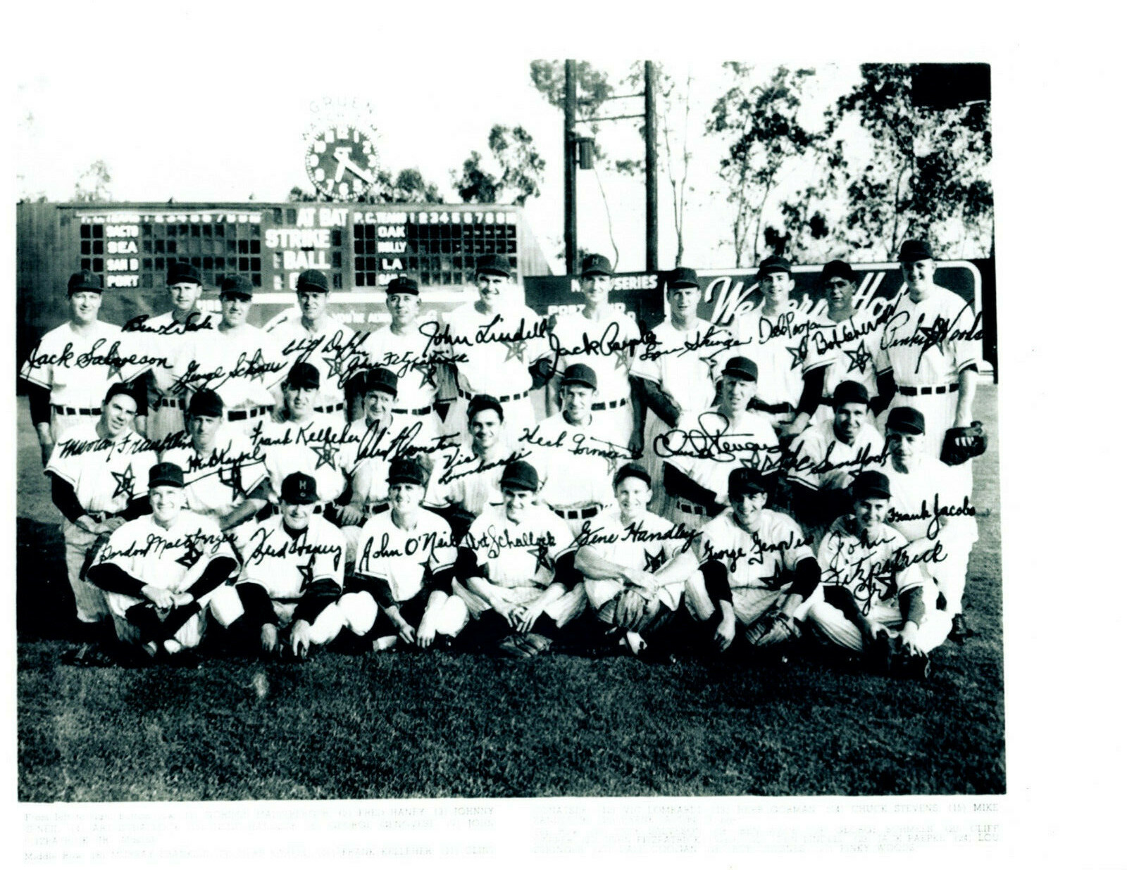 1951 HOLLYWOOD STARS TEAM PHOTO BASEBALL CALIFORNIA USA PCL LOMBARDI ...