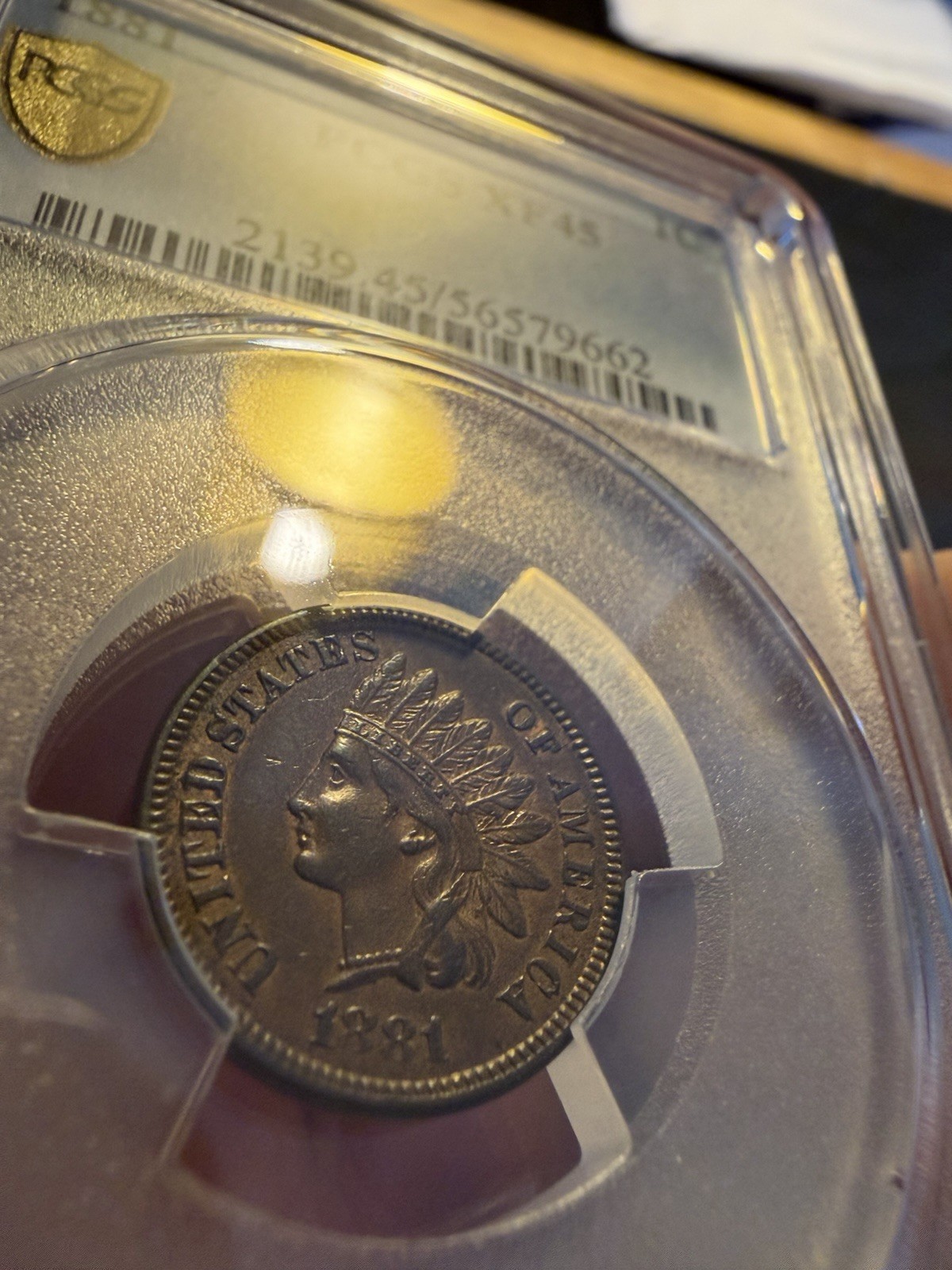 1881 Indian Head Cent PCGS XF 45 Gold Shield Coin Great Details!! | eBay