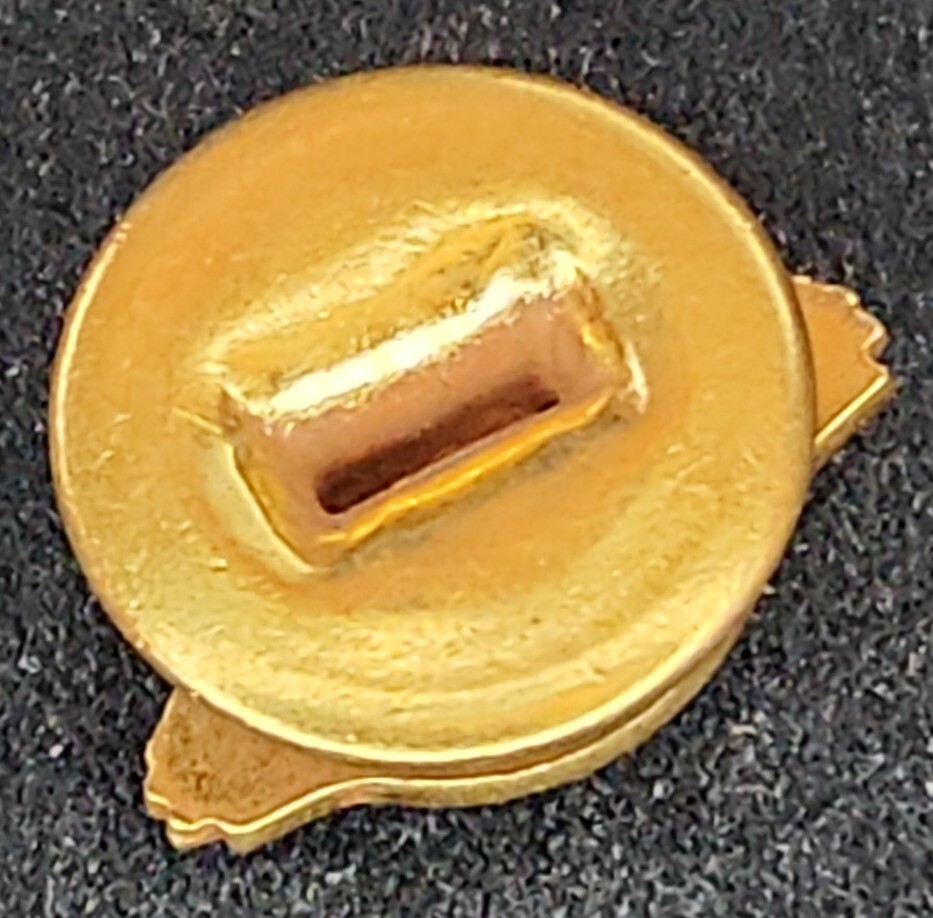 Honorable Discharge RUPTURED DUCK Button hole Lapel Pin, WWII, 1925 ...