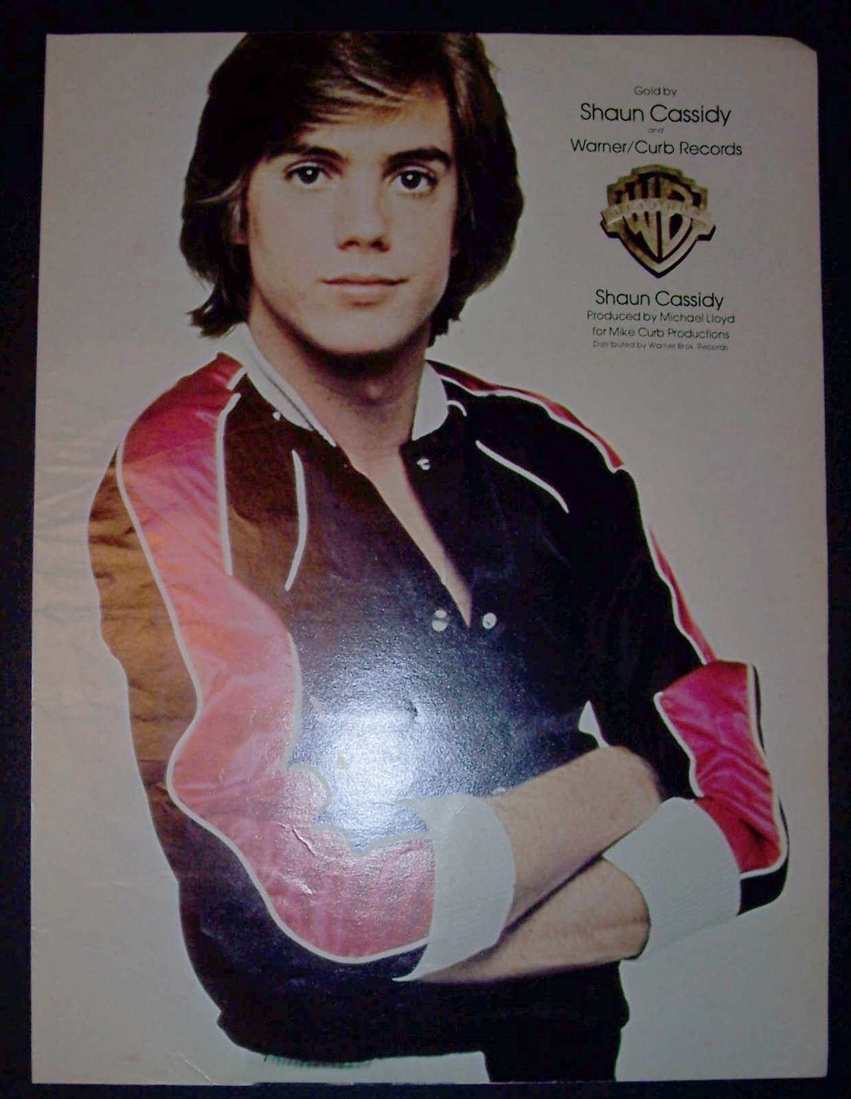 Shaun Cassidy Debut 1st Album 1977 Short Print Poster Type Advert ...