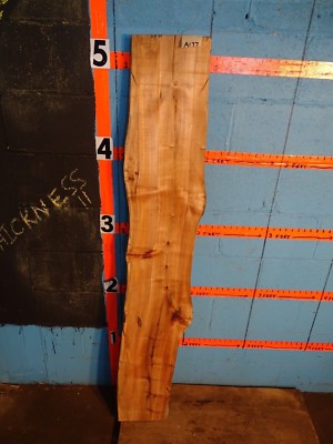 A177 1 3/4" THICK KILN DRIED spalted Maple Live Edge Slab shelf table ...
